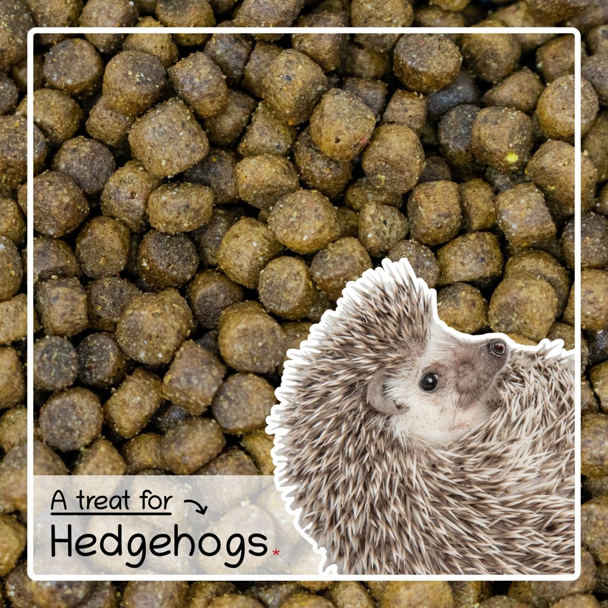 Hedgehog Food 750g - Complete Food For Hedgehogs