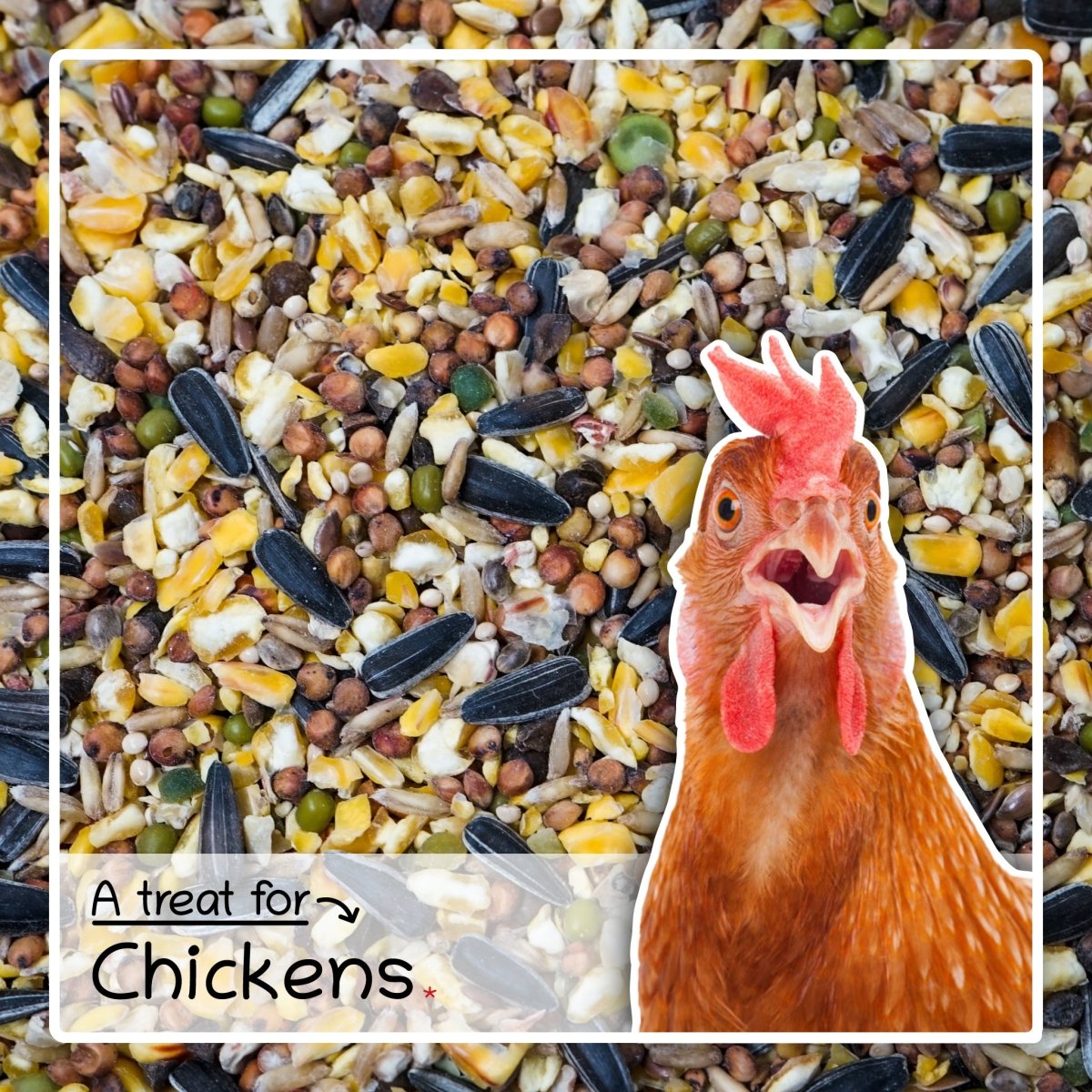 Chicken Food - Poultry Feed Treat Mix For Chickens
