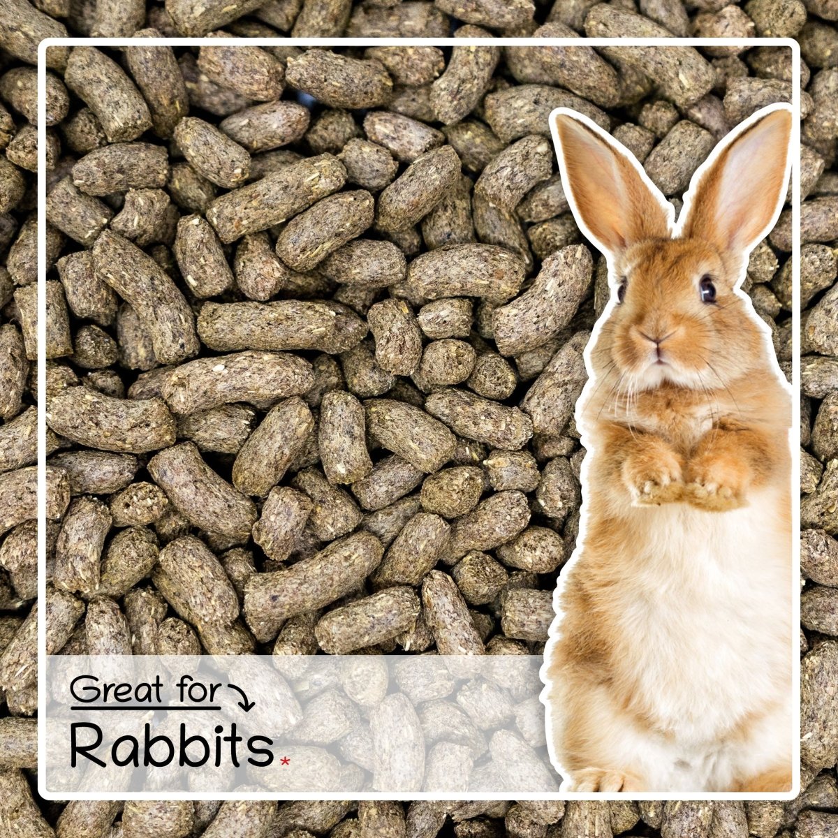 Rabbit Food Nuggets 1.8kg - Complete Food For Rabbits